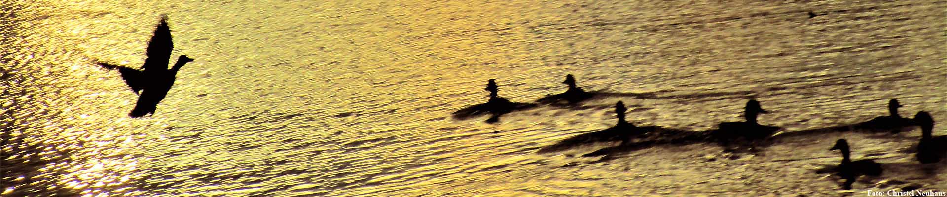 Veranstaltungskalender - Biostation-Ruhr-Ost